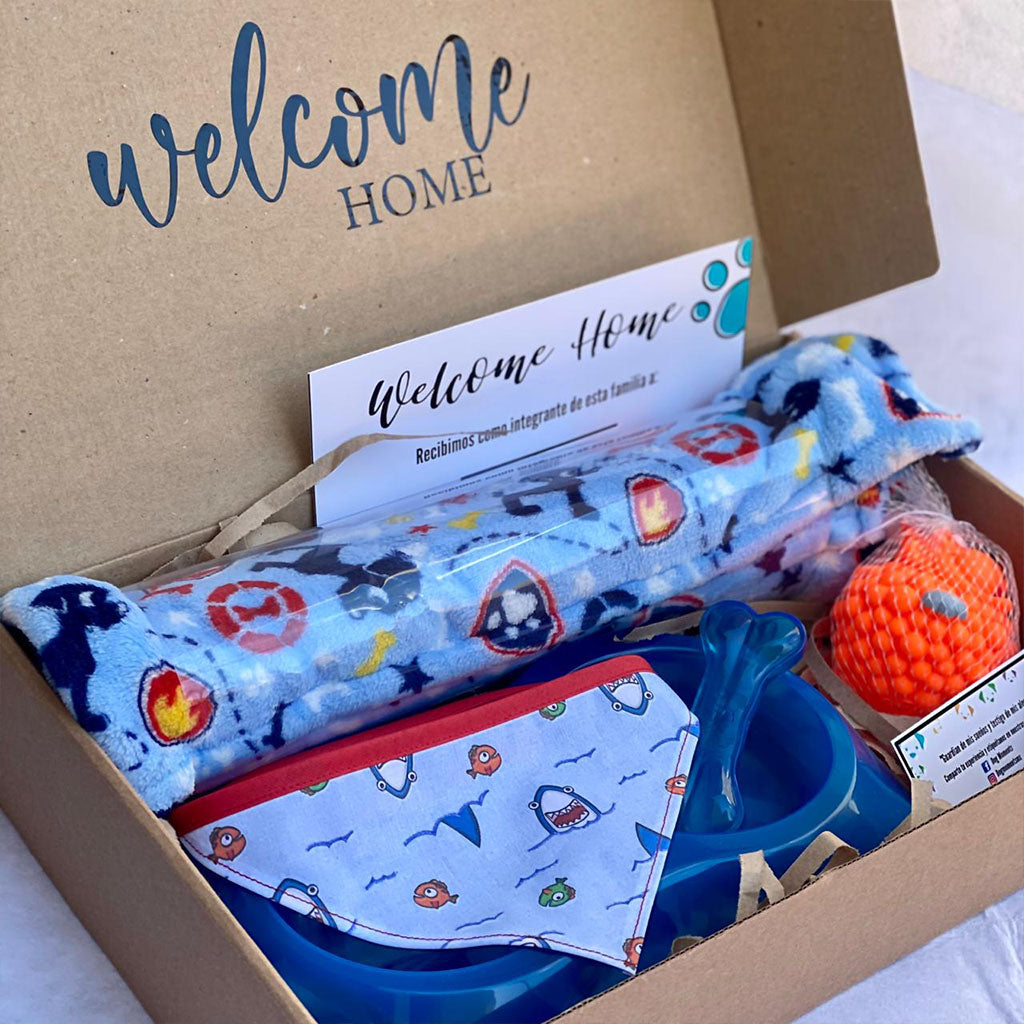 Welcome Home Box – Petunia Showroom